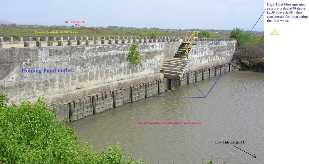 Panje wetlands are drying up even as green activists fight for them